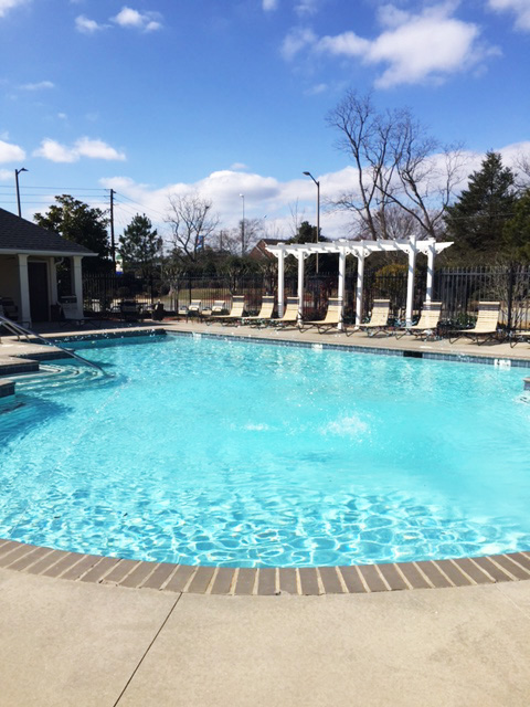 picture of pool – Pinewood Park